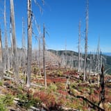 Barrett Spur via Vista Ridge and Wy'east Basin Trail, Oregon - 146 ...