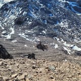 Barrett Spur via Vista Ridge and Wy'east Basin Trail, Oregon - 146 ...