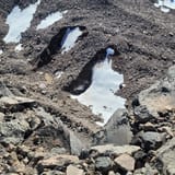 Barrett Spur via Vista Ridge and Wy'east Basin Trail, Oregon - 236 ...