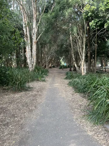 Best Hikes and Trails in Timbrell Park | AllTrails