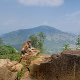 Nandi Steps (Nandi Hills), Karnataka, India - 41 Reviews, Map | AllTrails