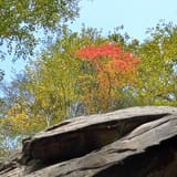 Bridge Buttress Access Trail, West Virginia - 103 Reviews, Map | AllTrails