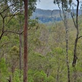 Mount Cootha to Enoggera reservoir, Queensland, Australia - 74 Reviews ...
