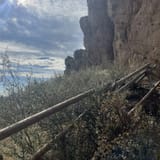 Devil's Backbone Nature Trail, Colorado - 2,032 Reviews, Map | AllTrails