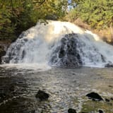 Black Brook Falls, Nova Scotia, Canada - 24 Reviews, Map | AllTrails