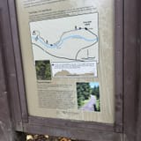 Toketee Falls, Oregon - 1,993 Reviews, Map | AllTrails