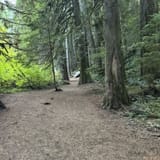 Toketee Falls, Oregon - 1,993 Reviews, Map | AllTrails