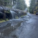 Toketee Falls, Oregon - 1,993 Reviews, Map | AllTrails