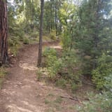 Grindstone Canyon Loop, New Mexico - 1,520 Reviews, Map | AllTrails