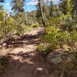 Grindstone Canyon Loop, New Mexico - 1,520 Reviews, Map | AllTrails