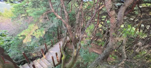 2023 Best Views Trails in Jung-gu | AllTrails