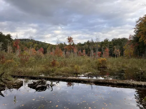 Best Hikes and Trails in Nipmuck State Forest | AllTrails