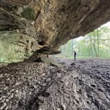 Panther Den Loop, Illinois - 846 Reviews, Map | AllTrails