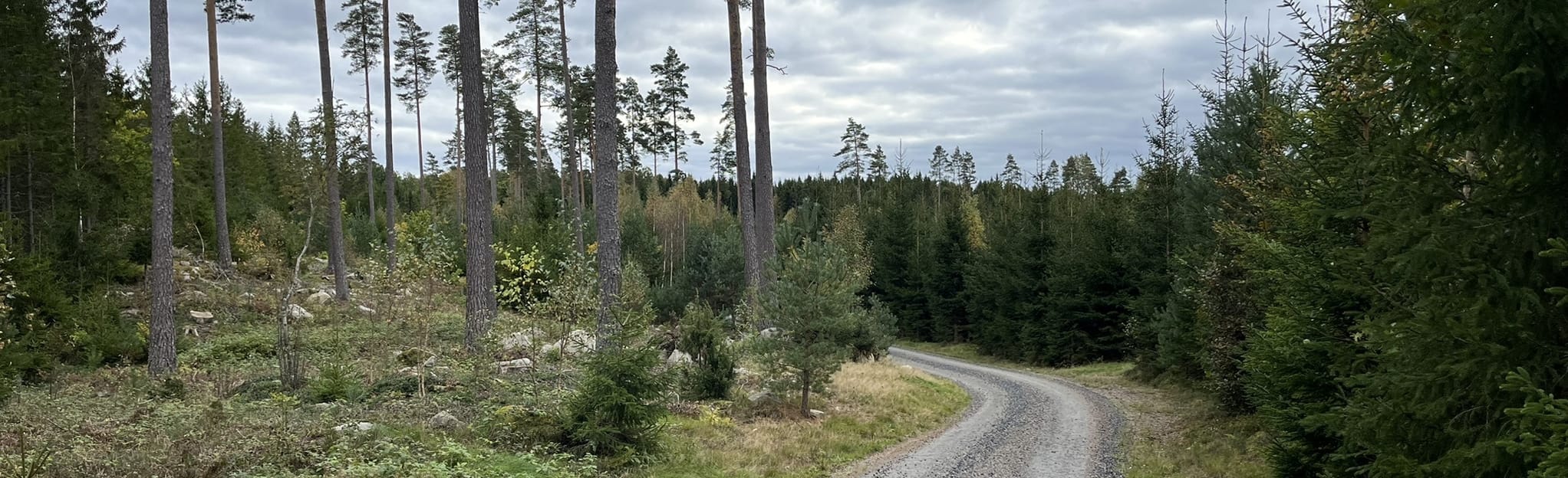 Ställplats Skeda – Årån Rundweg: 7 Fotos - Jönköping, Schweden | AllTrails