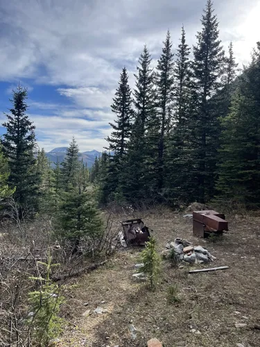 Best Hikes and Trails in Whitehorse Wildland Provincial Park | AllTrails