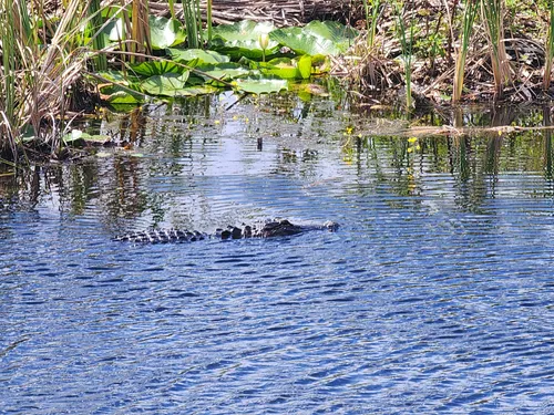 Best Hikes and Trails in Three Forks Conservation Area | AllTrails