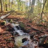 Goodnow Mountain Trail, New York - 1,229 Reviews, Map | AllTrails