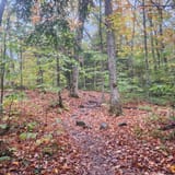 Goodnow Mountain Trail, New York - 1,229 Reviews, Map | AllTrails