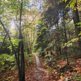Goodnow Mountain Trail, New York - 1,229 Reviews, Map | AllTrails