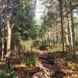 Goodnow Mountain Trail, New York - 1,229 Reviews, Map | AllTrails