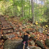 Goodnow Mountain Trail, New York - 1,229 Reviews, Map | AllTrails