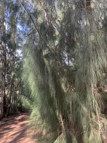 Best Hikes and Trails in Markham Park | AllTrails