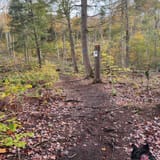 Goodnow Mountain Trail, New York - 1,229 Reviews, Map | AllTrails