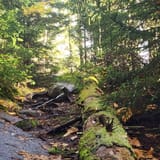 Goodnow Mountain Trail, New York - 1,229 Reviews, Map | AllTrails