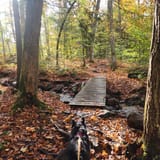 Goodnow Mountain Trail, New York - 1,229 Reviews, Map | AllTrails