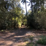 Burroughs Park Eastern Trail Loop, Texas - 793 Reviews, Map | AllTrails