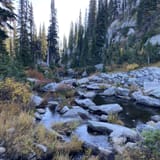 Harrison Lake Trail, Idaho - 522 Reviews, Map | AllTrails
