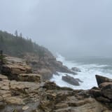 Ocean Path Trail, Maine - 3,332 Reviews, Map | AllTrails