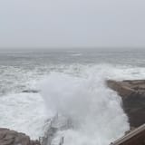 Ocean Path Trail, Maine - 3,332 Reviews, Map | AllTrails