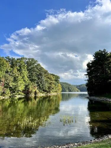 Best Forest Trails in Dublin | AllTrails