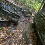 Tanbark Loop, New York - 574 Reviews, Map | AllTrails
