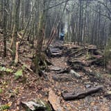 Roan High Knob via Appalachian Trail, North Carolina - 237 Reviews, Map ...
