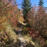 Loowit Loop, Washington - 408 Reviews, Map | AllTrails