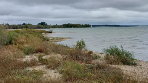 Best Hikes and Trails in Duncan Bay Nature Preserve | AllTrails