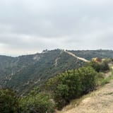 Brush Canyon Trail and Mount Bell Loop, California - 352 Reviews, Map ...