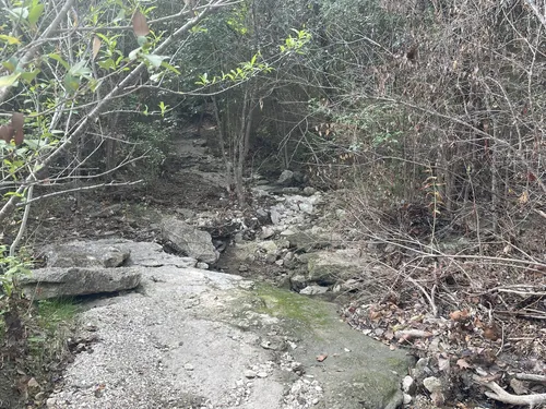 Best Hikes and Trails in Copperas Cove | AllTrails
