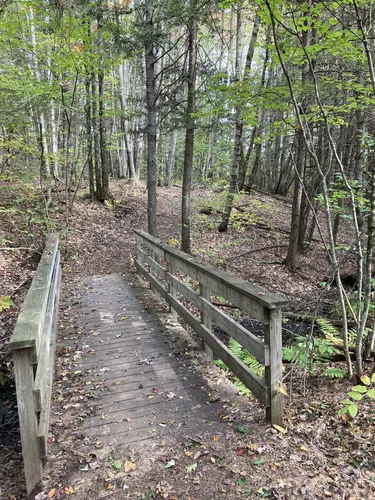 10 Best Trails and Hikes in Brunswick | AllTrails