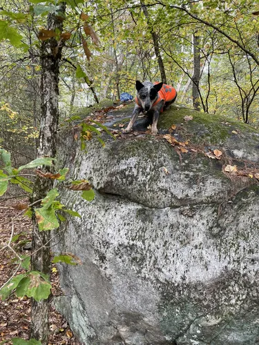 Best Hikes and Trails in Georgetown-Rowley State Forest | AllTrails