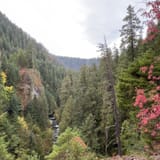 Toketee Falls, Oregon - 1,993 Reviews, Map | AllTrails