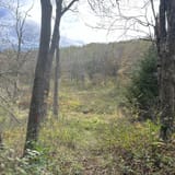 White Line Trail, Pennsylvania - 47 Reviews, Map | AllTrails