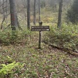 White Line Trail, Pennsylvania - 47 Reviews, Map | AllTrails