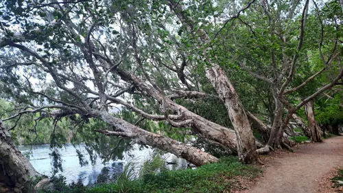 Best Hikes and Trails in Apex Park | AllTrails