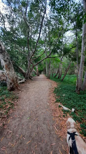 Best Hikes and Trails in Apex Park | AllTrails