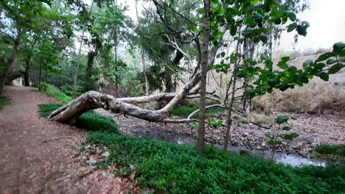 Best Hikes and Trails in Apex Park | AllTrails