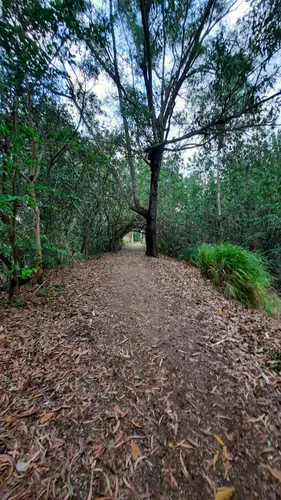 Best Hikes and Trails in Apex Park | AllTrails