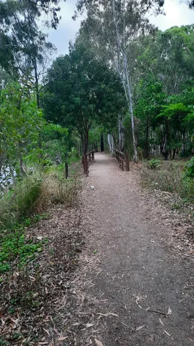 Best Hikes and Trails in Apex Park | AllTrails